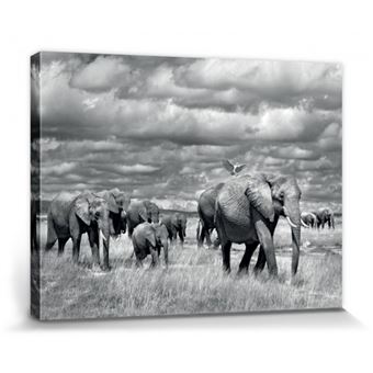 Eléphants Poster Reproduction Sur Toile, Tendue Sur Châssis - Elephants ...