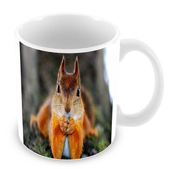 Fabulous Mug céramique Ecureuil Roux Chilling - Tasse et Mugs - Achat ...