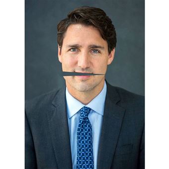 Fabulous Poster Justin trudeau canadiens south park (30 cm x 42 cm ...