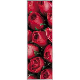 Poster Reproduction Encadré: Roses - Roses Rouges, Mer De Fleurs (91x30 ...
