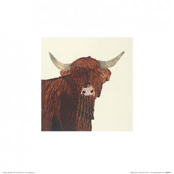 Vaches Poster Reproduction - Highland Cow, Julia Burns (30x30 cm ...