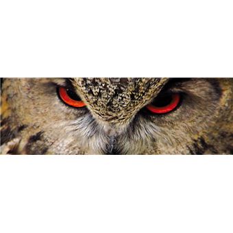Chouettes Poster - Hibou Aux Yeux Rouges (30x91 cm) - Achat & prix | fnac