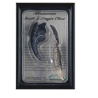 Collecta prehistoriedent et griffe Allosaurus 11,5 cm - Figurine de ...