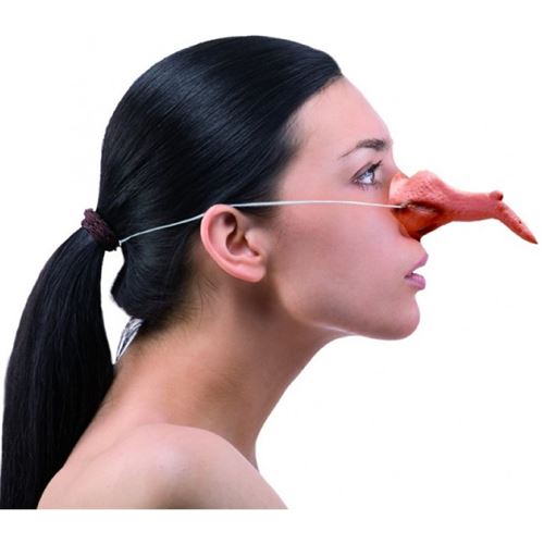 nez crochu de sorciere 9 cm deguisement halloween horreur - Accessoire ...