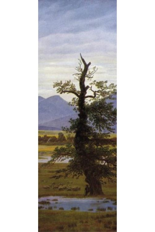 Caspar David Friedrich Poster Reproduction - Arbre Solitaire, 1822 (91x30 cm) - Achat & prix | fnac