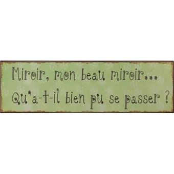 Humour Poster Plaque En Métal - Miroir, Mon Beau Miroir, Qu´a-t-il Bien ...