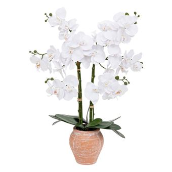 Atmosphera Créateur d'intérieur - Orchidée Artificielle en Pot "Dena" 65cm Blanc - Achat & prix ...