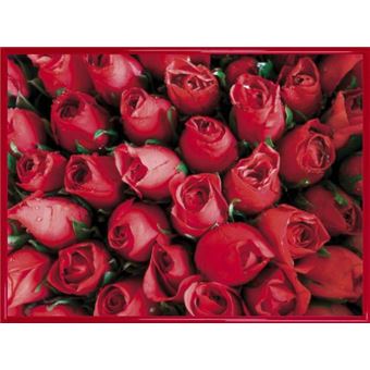 Poster Reproduction Encadré: Roses - Roses Rouges, Mer De Fleurs (60x80 ...