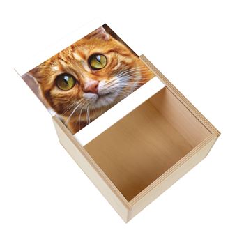 Boite Coffret en Bois - Fabulous - Chat Botte Chat Roux Grands Yeux (11 ...