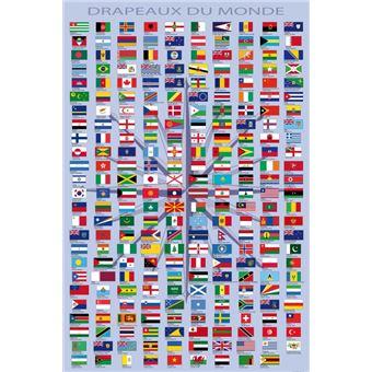 Drapeaux Du Monde Poster Reproduction - Noms Des Pays Et Capitales, En ...