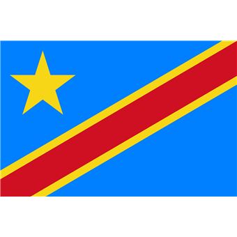 Drapeau République démocratique du Congo (19.5x13cm) - Sticker ...