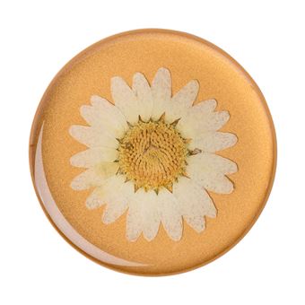 Support pour téléphone mobile Popsocket Pressed Flower White Daisy ...