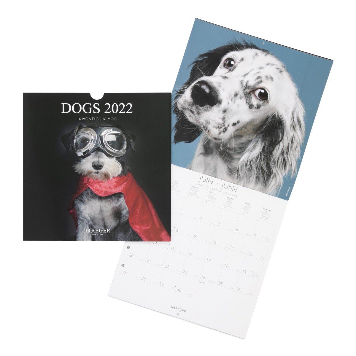 Grand Calendrier Mural Chiens 2022 Draeger Paris Calendrier grand-calendrier-mural-chiens-2022-draeger-paris-calendrier