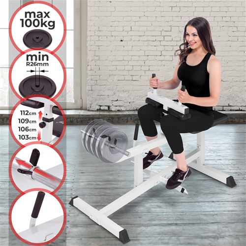 Physionics® Machine à Mollets - Assis, Capacité Max. 220 kg, Hauteur ...