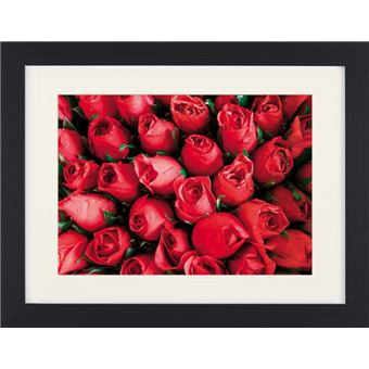 Roses Poster De Collection Encadré - Roses Rouges, Mer De Fleurs (30x40 ...