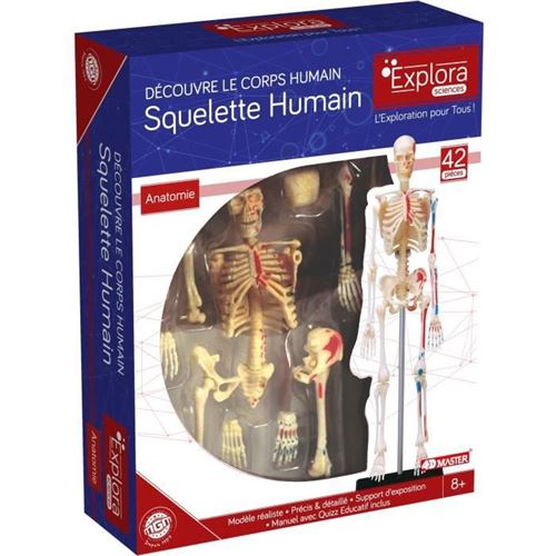 MGM - Explora - Anatomie squelette - Experience anatomie - Jeu de ...