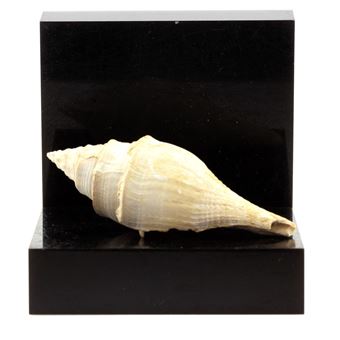 PYRITE + DOLOMITE - Pierre Naturelle en Provenance de SUISSE, Carrière ...