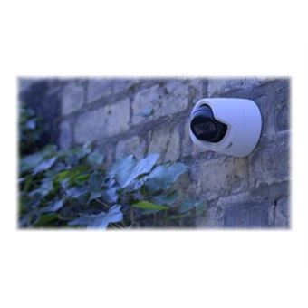 AXIS M3116-LVE - Caméra de surveillance réseau - panoramique ...