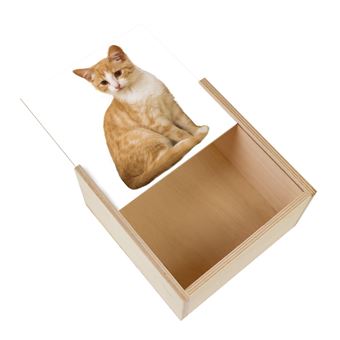 Boite Coffret en Bois - Fabulous - Tres Beau Chat Roux et Blanc (11 x ...