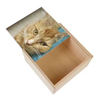 Boite Coffret en Bois - Fabulous - Chat Roux Tigré se Prélasse (11 x 11 ...