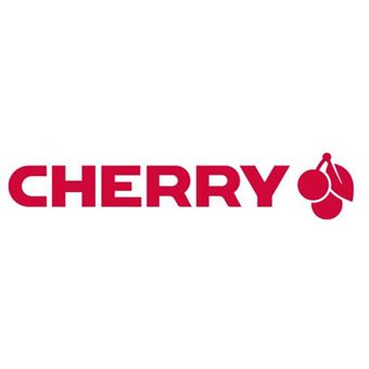 CHERRY DW 3000 - Ensemble clavier et souris - sans fil - 2.4 GHz ...