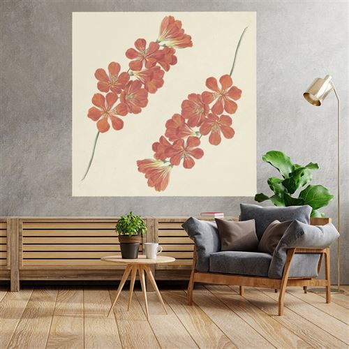 Fabulous Poster Fleur botanique ancienne (91cm x 91cm) - Achat & prix ...