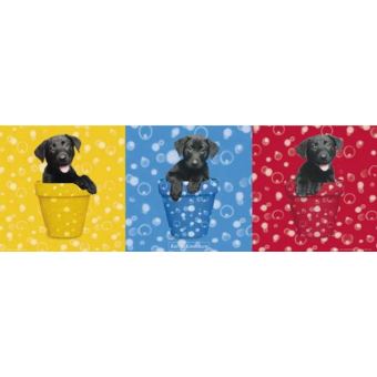 Keith KIMBERLIN - 30,5x91,5 cm - AFFICHE / POSTER - Achat & prix | fnac