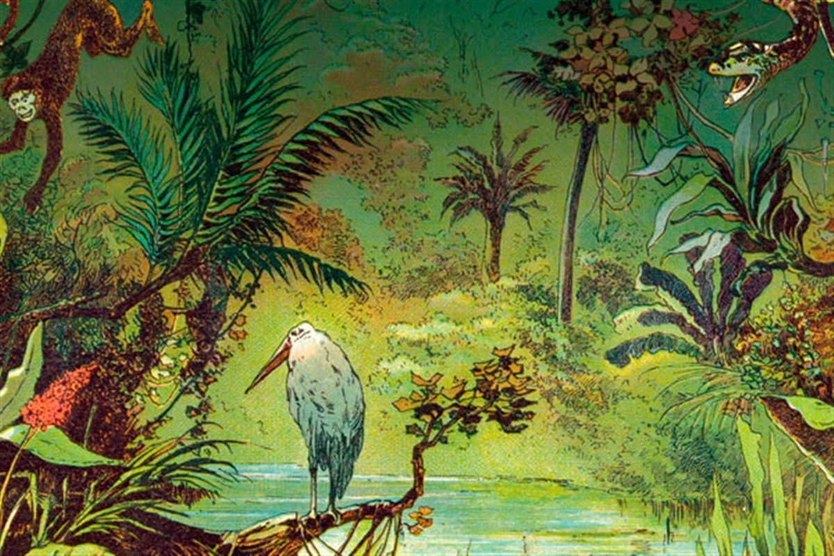 Mark Haber: Lisergia en el XIX - Consejos de los expertos Fnac