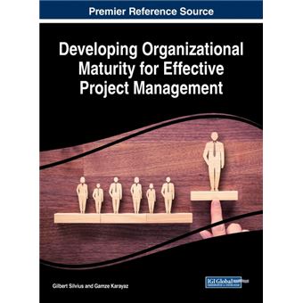 Developing Organizational Maturity For Effective Project Management ...