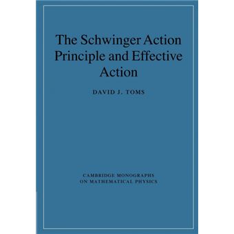 The Schwinger Action Principle and Effective Action - David J. Toms ...