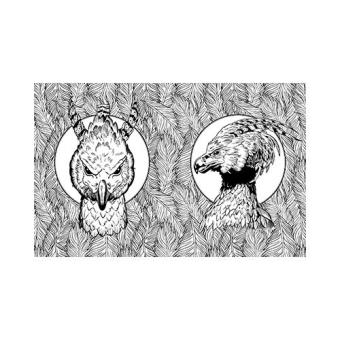 harry potter magical creatures coloring pages