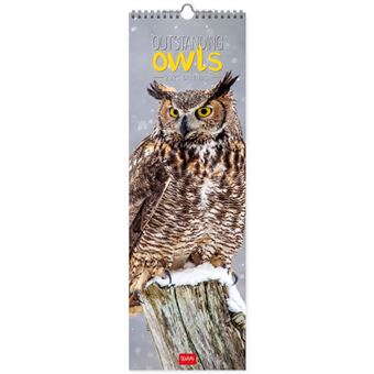 Calendario anual de pared 2023 Legami 16x49 mes visto Owls - Calendario ...