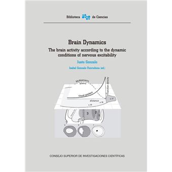 Brain dynamics : the brain activity according to the dynamic - Justo ...