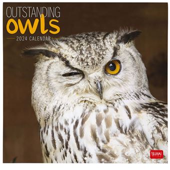 Calendario fotográfico de pared 2024 Legami 30x29 mes visto Owls ...