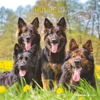 Calendario 2025 Dogs 30x30cm - Calendario, horario - Los mejores ...