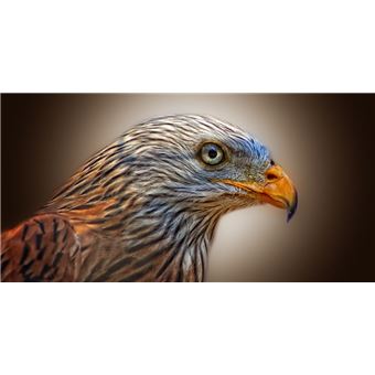 Fabulous Poster Milan royal aigle magnifique (31cm x 61cm) - Achat ...