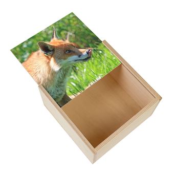 Boite Coffret en Bois - Fabulous - Renard Roux Tire la Langue (11 x 11 ...