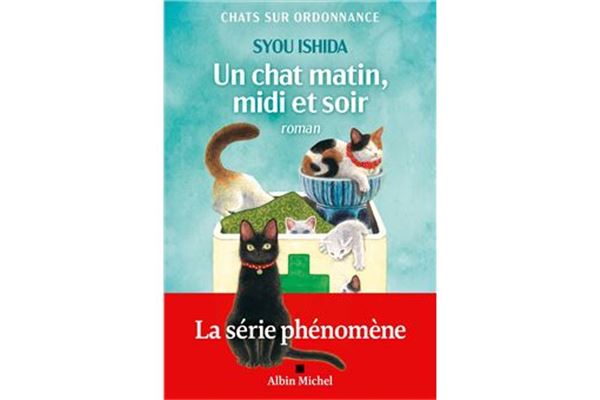 Idées cadeaux de Noël : la littérature doudou et les romances cosy qui ...
