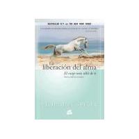 Michael A. Singer - Saber tudo sobre os produtos Livros na Fnac.pt