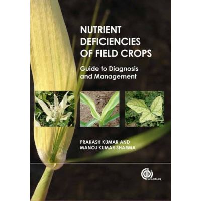 Nutrient Deficiencies of Field Crops: Guide to Diagnosis and Management ...