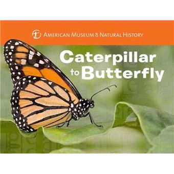 Caterpillar to Butterfly - Cartonado - American Museum of Natural ...