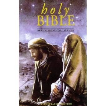 Bible: New International Version: Inclusive Language Edition (Bible Niv ...