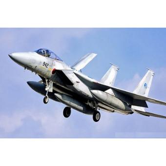 Hasegawa - Maquette avion : F-15J Eagle MISP - Maquette - Achat & prix ...