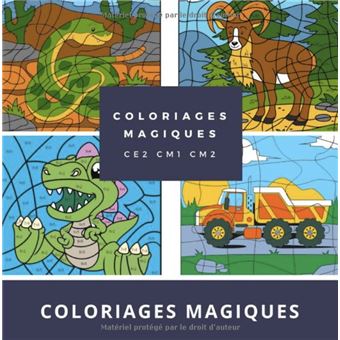 Coloriages magiques CE2 CM1 CM2 Livre de coloriage pour les enfants (De ...