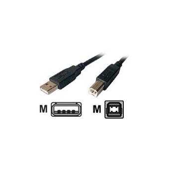 Dexlan - Câble USB - USB (M) pour USB type B (M) - USB 2.0 - 3 m - noir ...