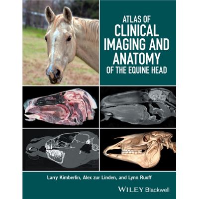 Atlas Of Clinical Imaging Anatomy Of The Larry Kimberlin, Alex Zur ...