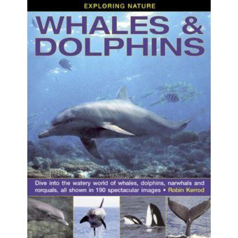 Exploring Nature: Whales & Dolphins: Dive into the Watery World of ...
