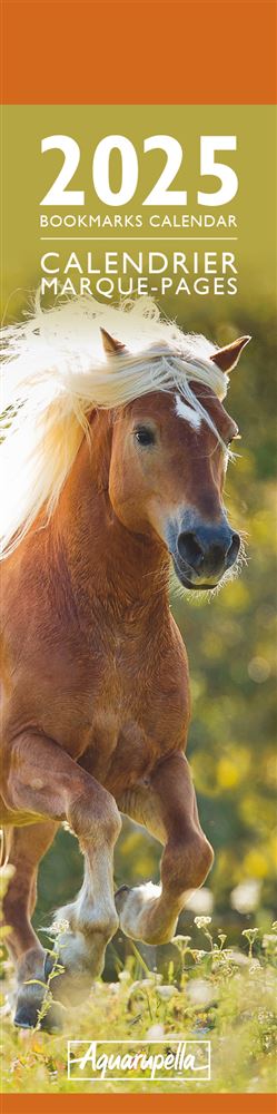 Calendrier Marque-Pages Aquarupella 2025 Chevaux 4 x 16 cm - Calendrier ...