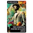 The Complete Poetry of James Joyce - ebook (ePub) - James Joyce - Achat ...