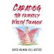 Caradog the Friendly Welsh Dragon - ebook (ePub) - David Holman-Hill ...